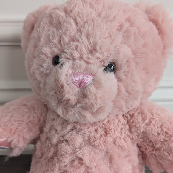 Build-A-Bear | Toys | Buildabear Youre The Best Teddy Bear Inch | Poshmark